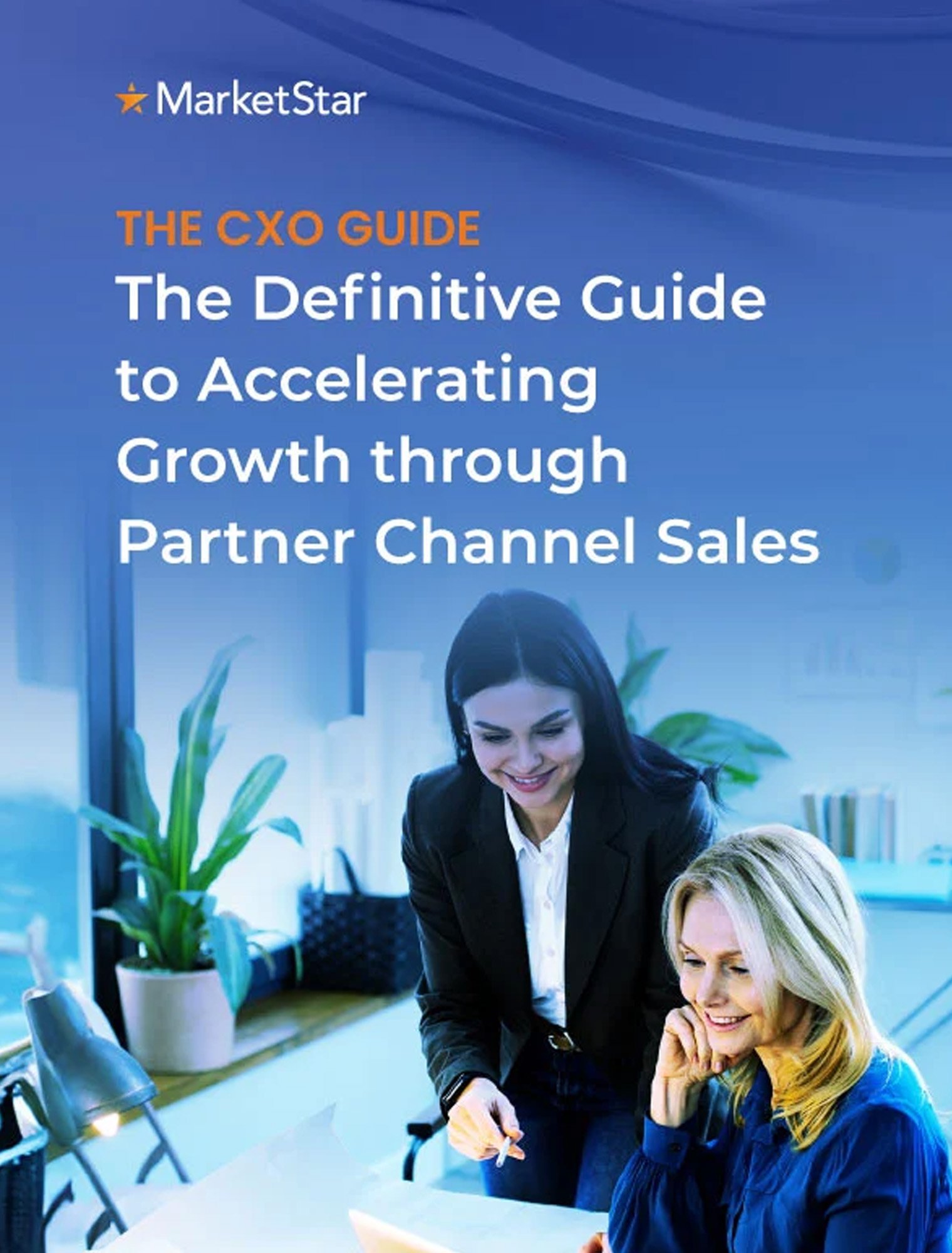 CXO Guide: The Definitive Guide to Accelerating Growth through Partner ...